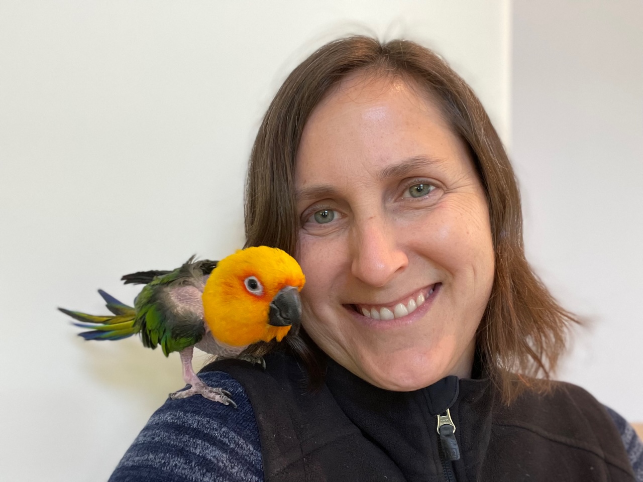 Featured Volunteer: Dara Torgerson | Mickaboo